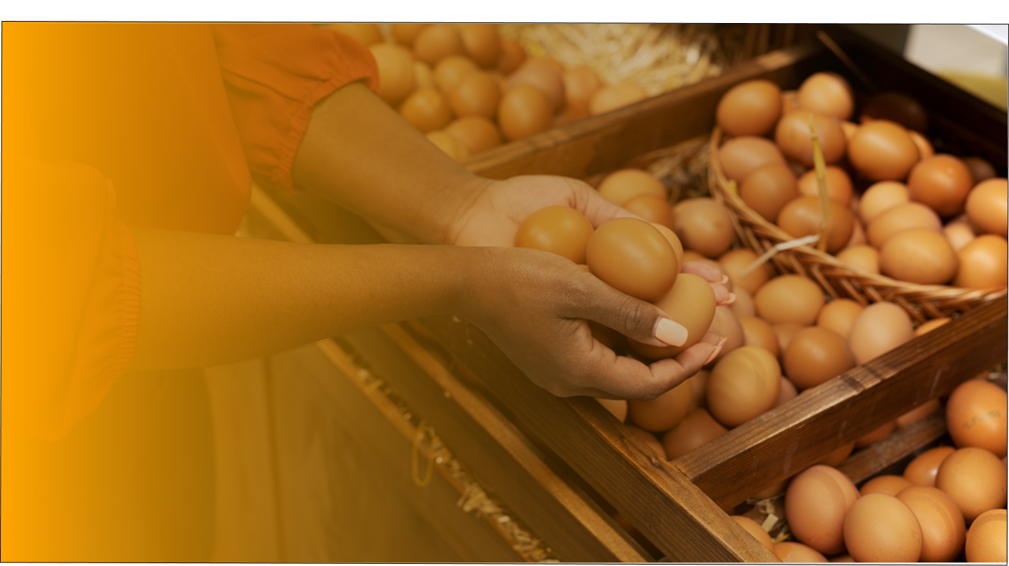 Barn Eggs – Fresh Organic Eggs & Poultry