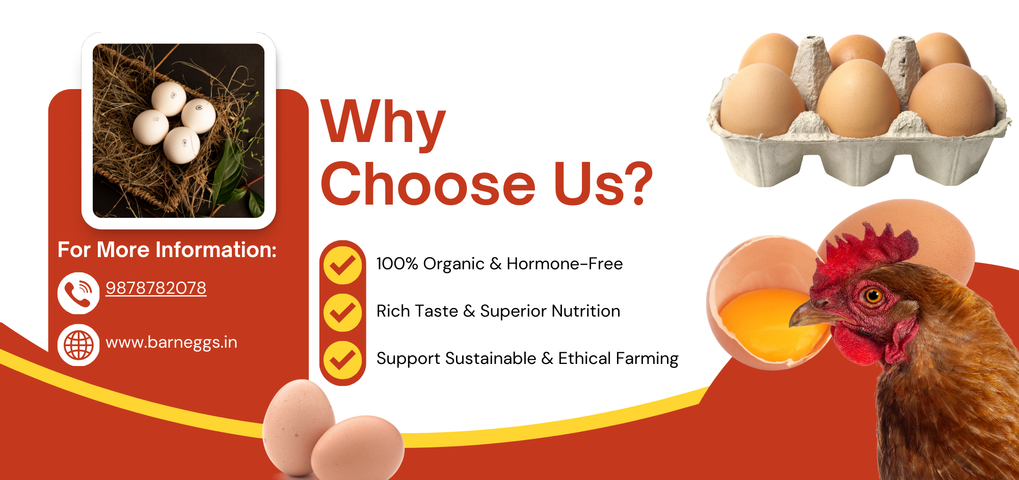 The Best Range of Eggs – Barn Eggs